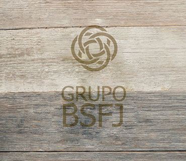 GRUPO BSFJ S.A. DE C.V.